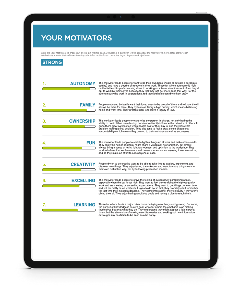 The Motivators Assessment